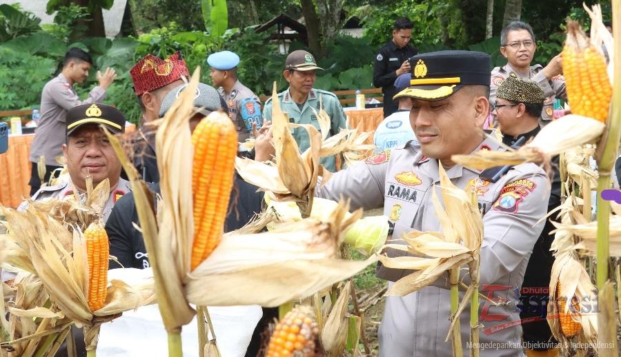 Dukung Swasembada Pangan Tahun 2025, Polresta Banyuwangi Gelar Panen Raya Jagung Tahap I - Dhuta ...